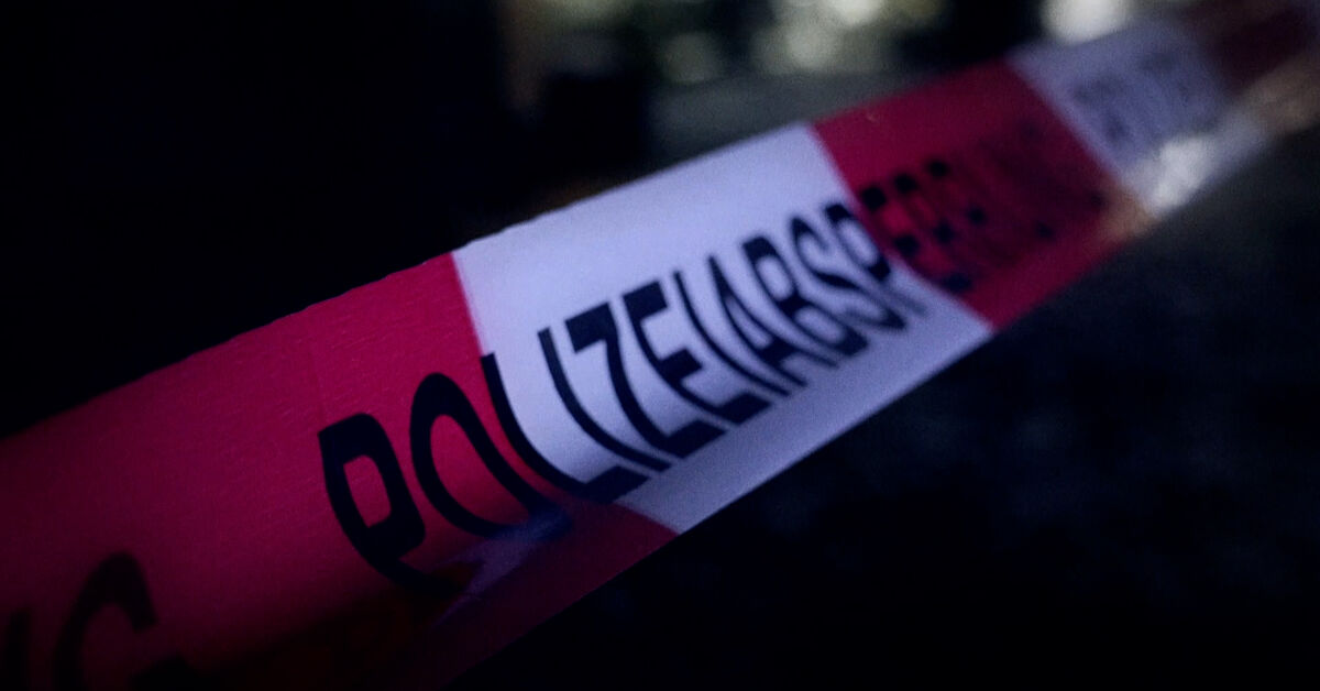 «AUF DER SPUR– DIE DUNKELSTEN VERBRECHEN DER SCHWEIZ»: Das oneplus ...