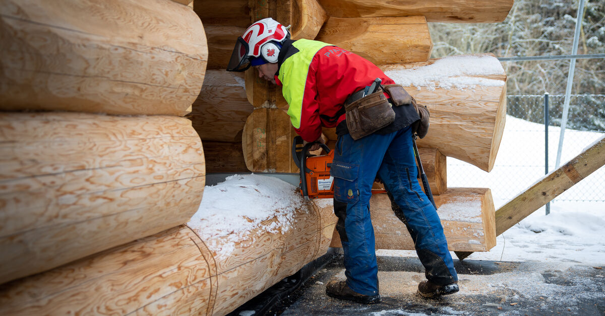 «Beat baut» exklusiv auf oneplus: Wie ein Schweizer in Kanada Blockhaus ...