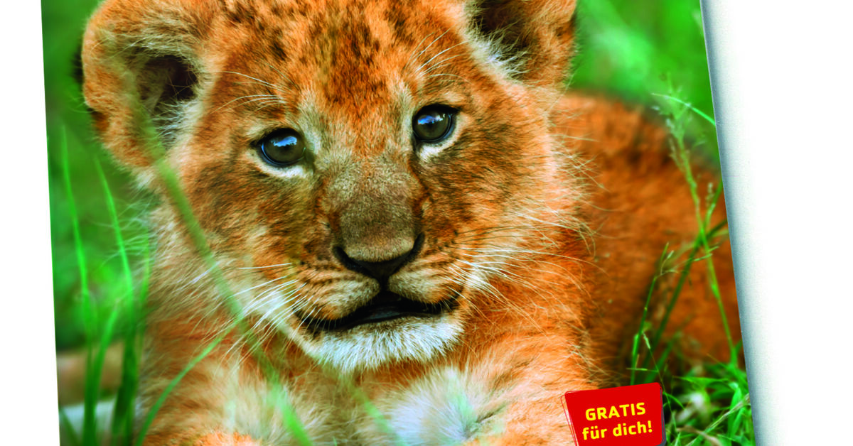 MiniSPICK liegt neu auch kostenlos in 1400 Poststellen auf ...