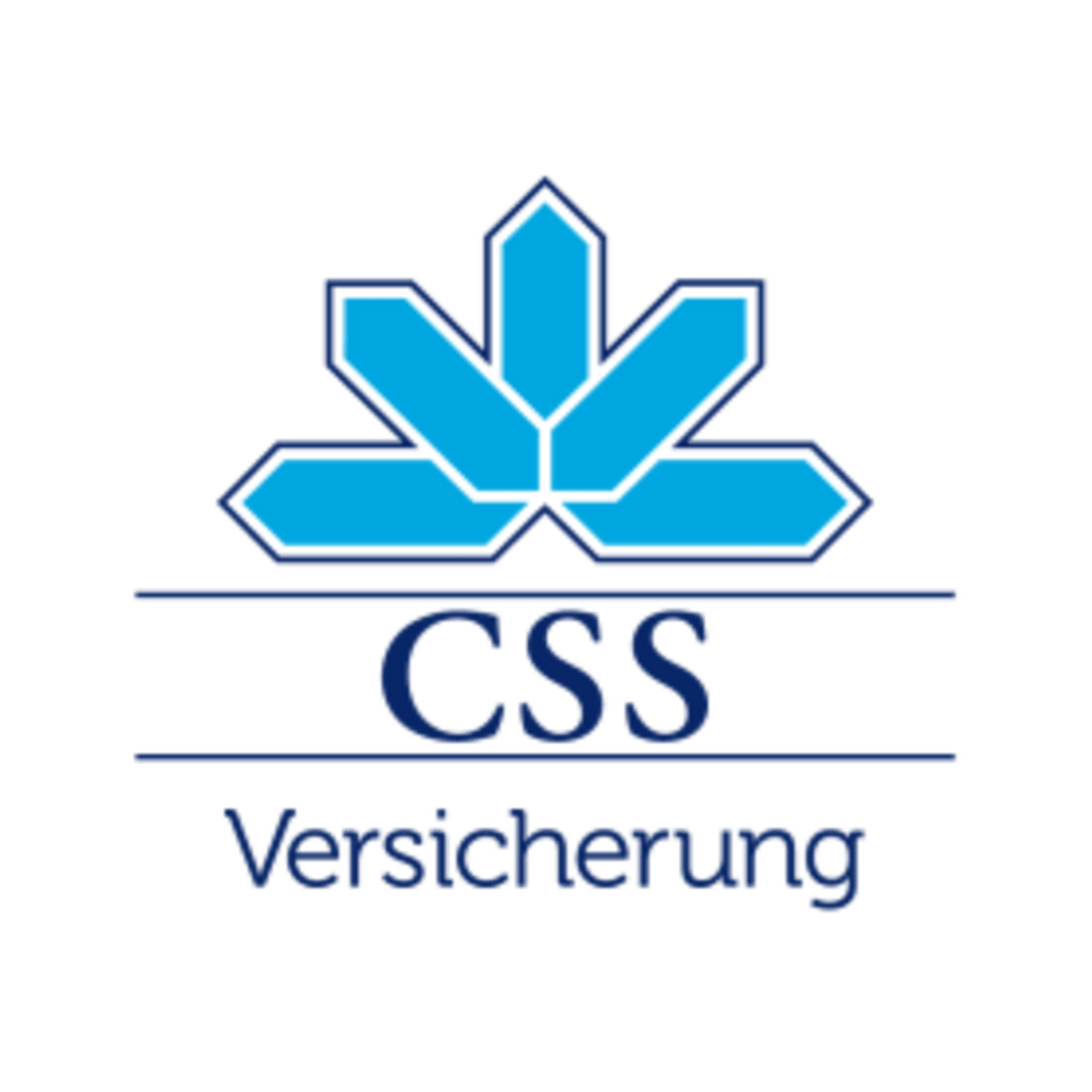 Der neue CFO der CSS Versicherung heisst Armin Suter | Presseportal ... Der neue CFO der CSS Versicherung heisst Armin Suter | Presseportal ...