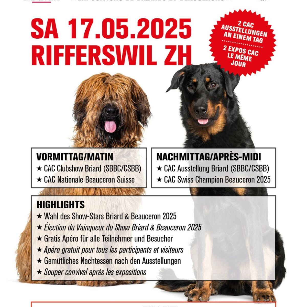 Double Cac Der Briards Und Beaucerons Am 17 Mai In Rifferswil