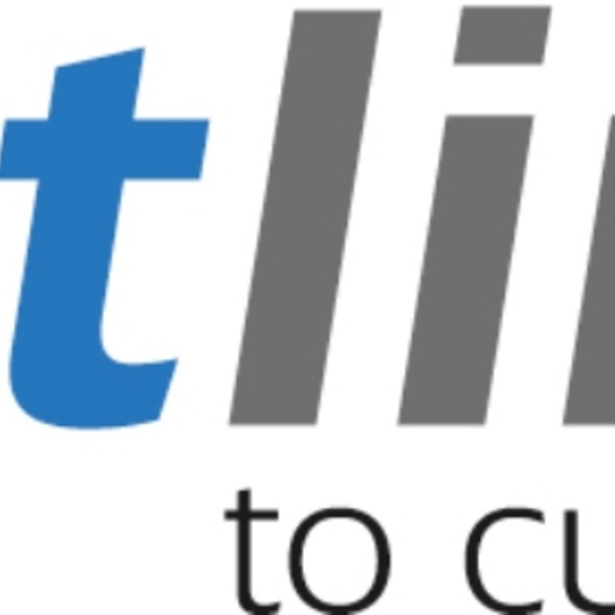 Fastlink als Antwort auf die zunehmende Bedeutung des E-Commerce im ICT ...