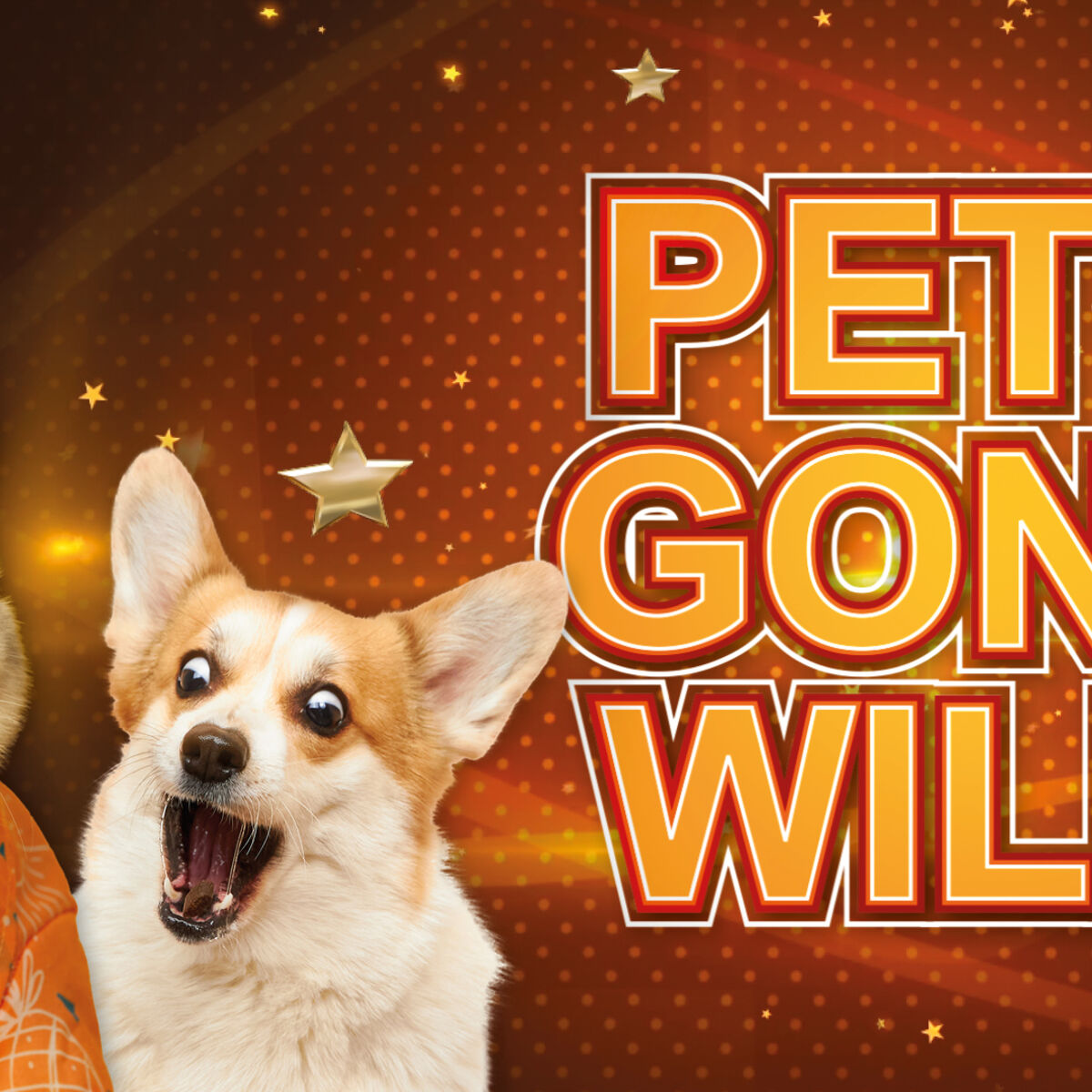 «Pets gone wild»: 3+ lanciert tierisch gute Unterhaltungsserie für die ...