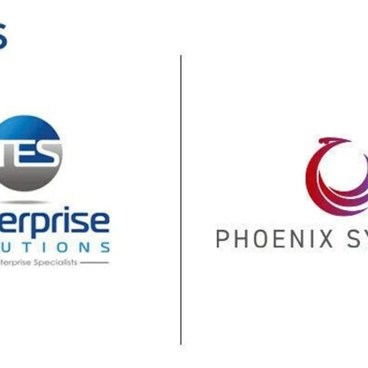 TES Enterprise Solutions und Phoenix Systems schließen Partnerschaft zu ...